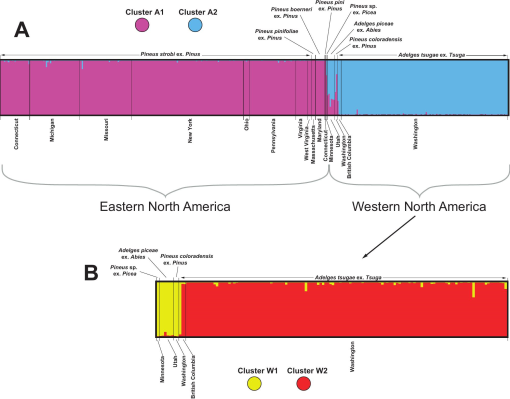 Prey-associated genetic differentiation in two species of silver fly ...