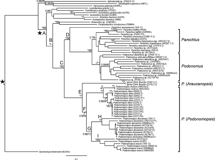 Evidence from molecules and morphology expands Podonomopsis Brundin ...