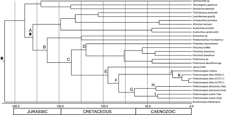 Evidence from molecules and morphology expands Podonomopsis Brundin ...