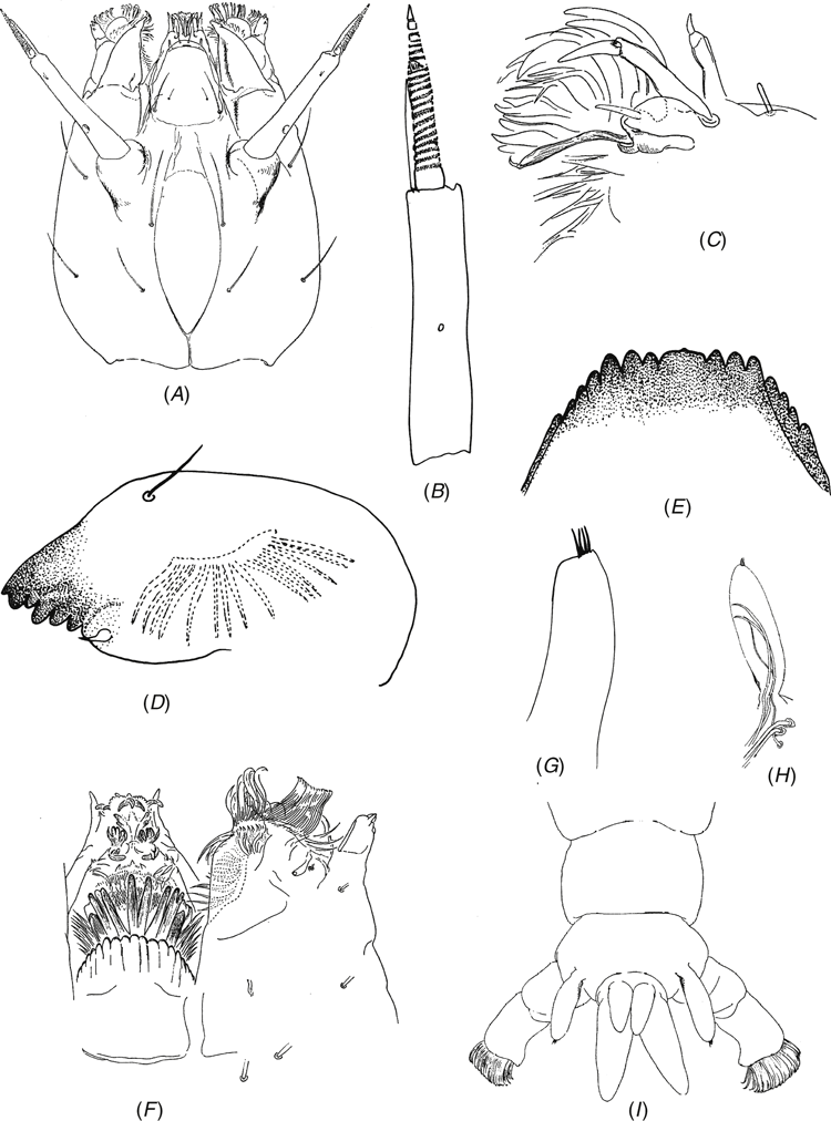 Evidence from molecules and morphology expands Podonomopsis Brundin ...