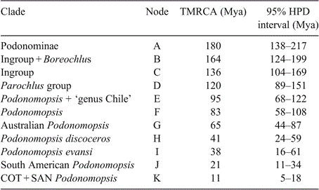 Evidence from molecules and morphology expands Podonomopsis Brundin ...