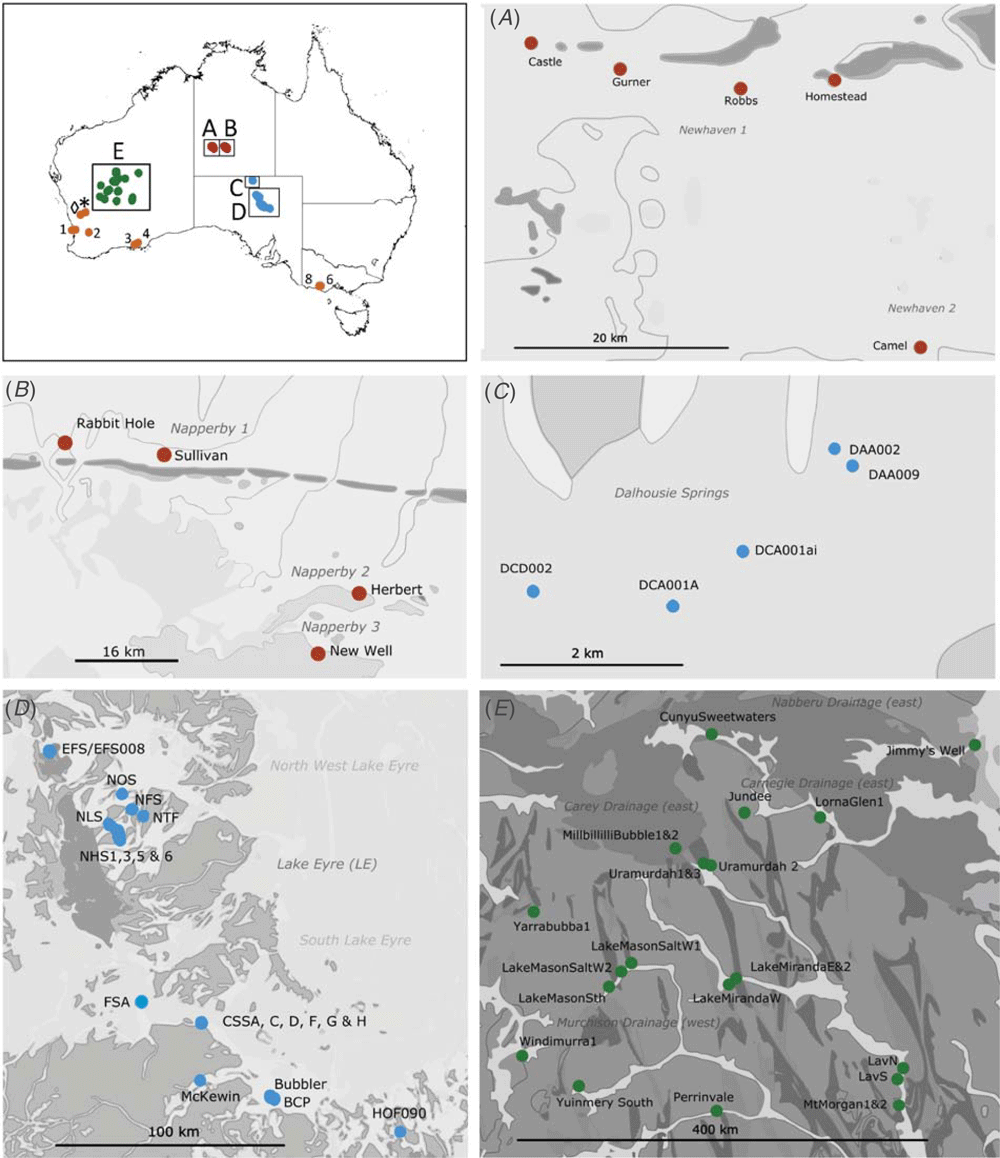 Molecular phylogenetic analysis of Australian arid-zone oniscidean ...
