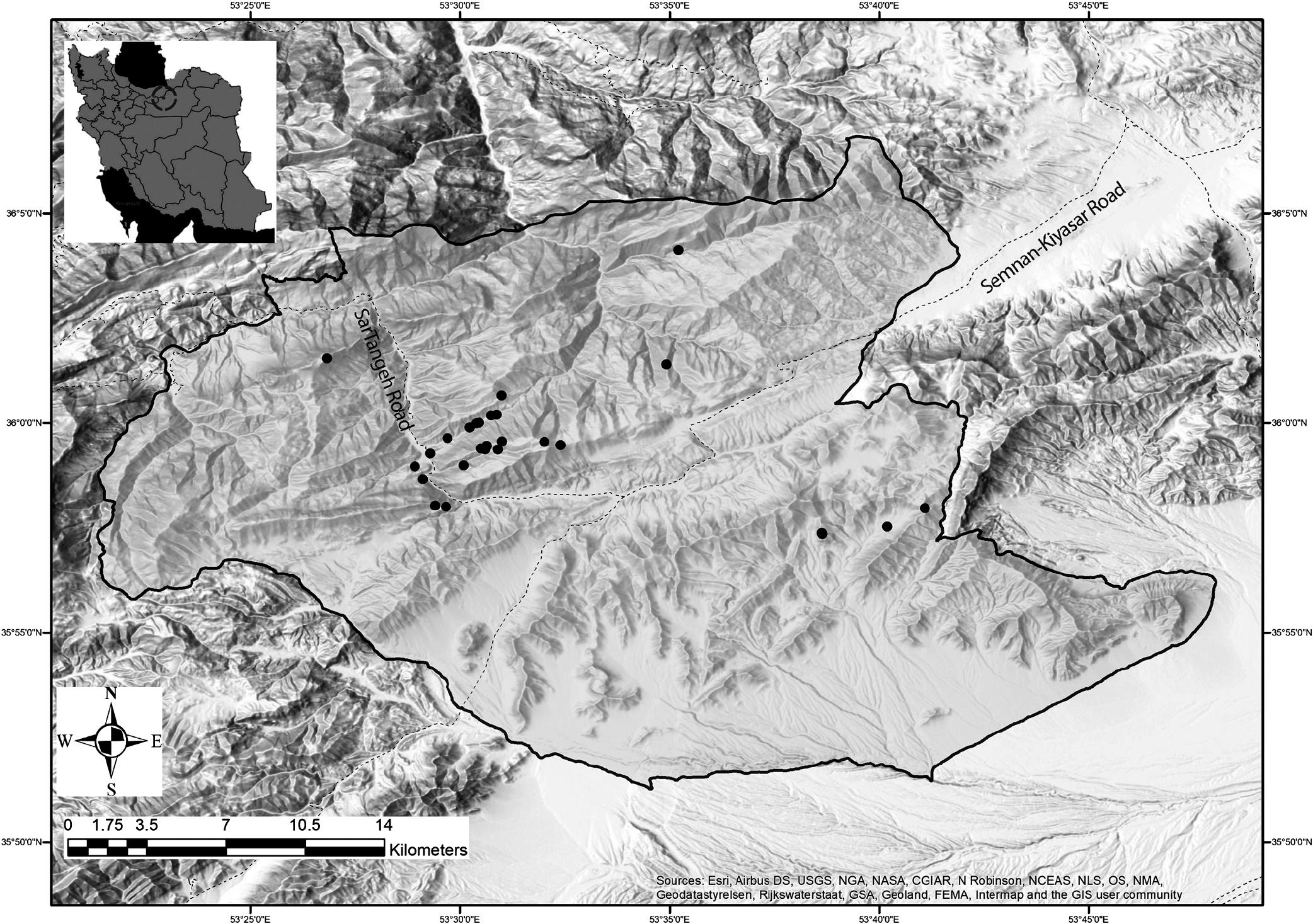 Individual Identification of Panthera pardus saxicolor Using Non ...
