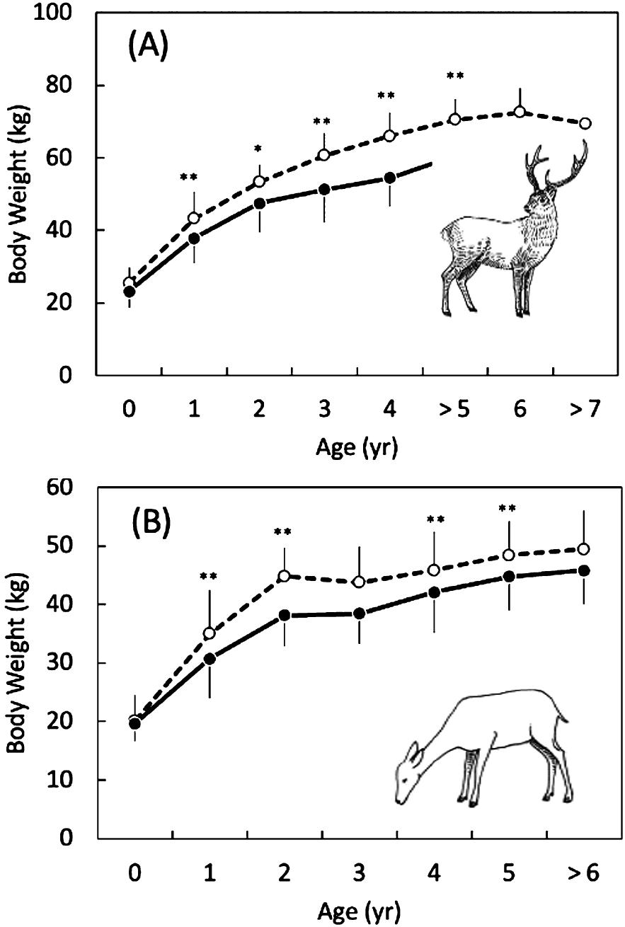 Age-Related Changes in the Body Size and Weight of Sika Deer (Cervus ...