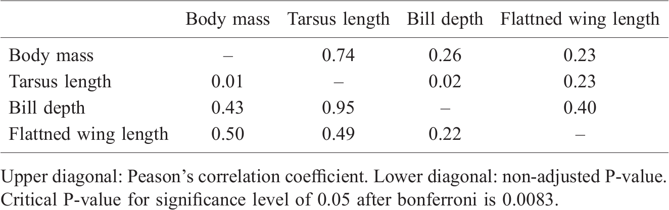 Reversed Sexual Size Dimorphism in the Ryukyu Scops Owl Otus elegans on ...