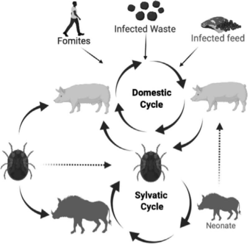 The Soft Tick Ornithodoros moubata and Its Role in the Epidemiology of ...