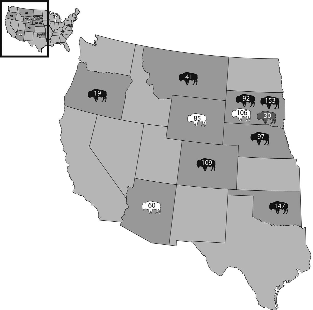 EVALUATING TWO SAMPLING METHODS FOR MYCOPLASMA BOVIS DIAGNOSIS IN ...