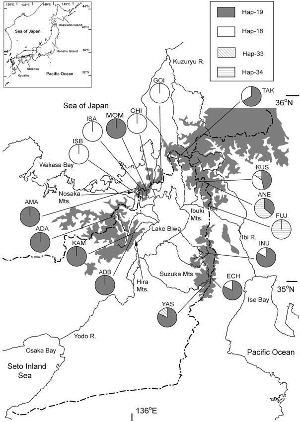 Mitochondrial DNA Population Structure of the White-Spotted Charr ...