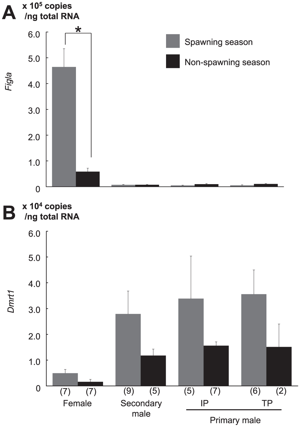 Molecular Cloning and Expression Profile of Sex-Specific Genes, Figla ...