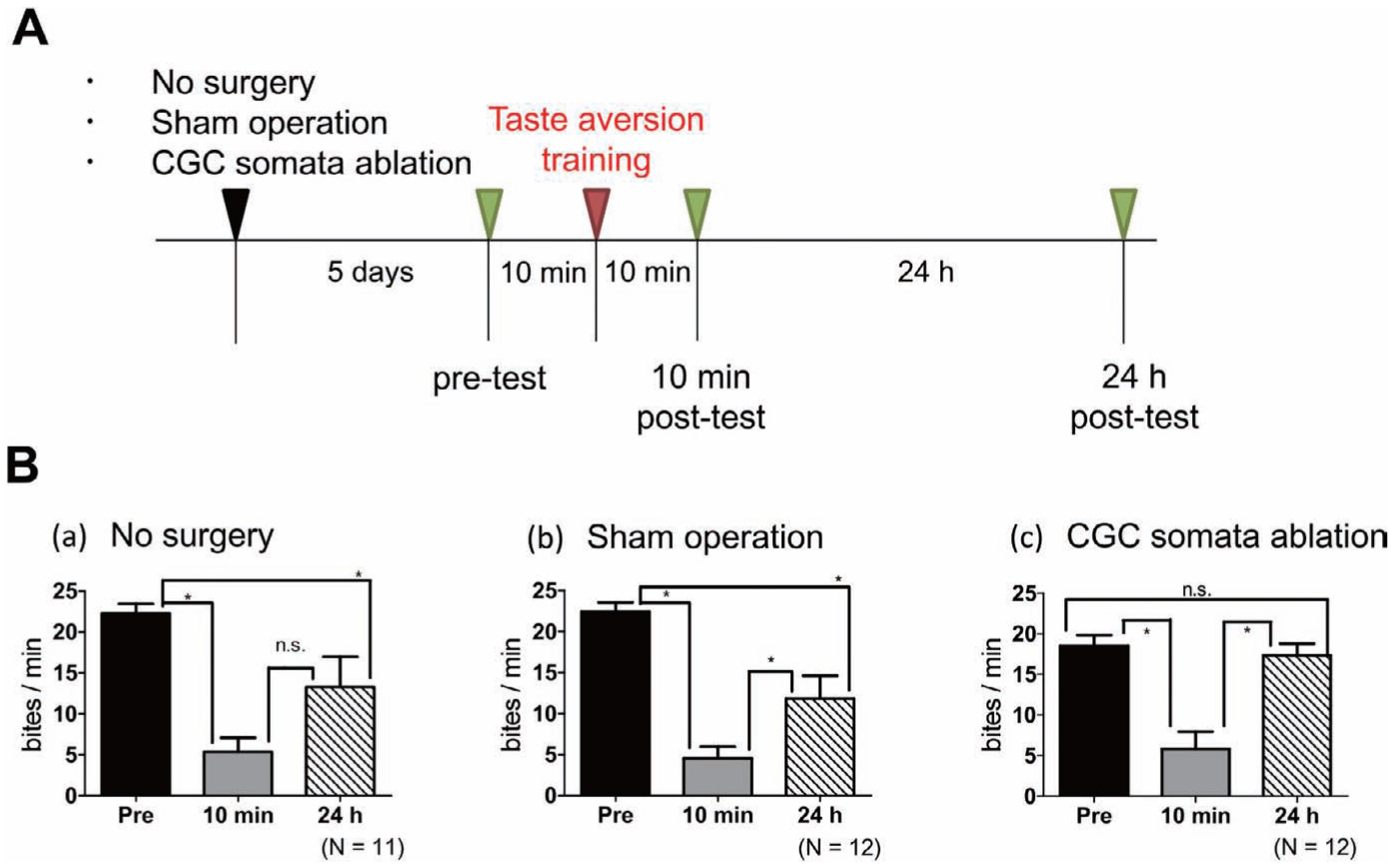 Cerebral Giant Cells are Necessary for the Formation and Recall of ...