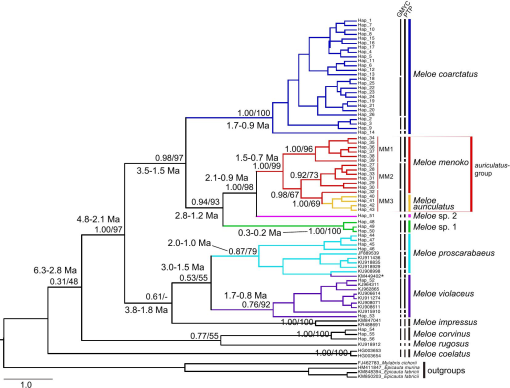 Wide-Scale Gene Flow, Even in Insects that have Lost their Flight ...