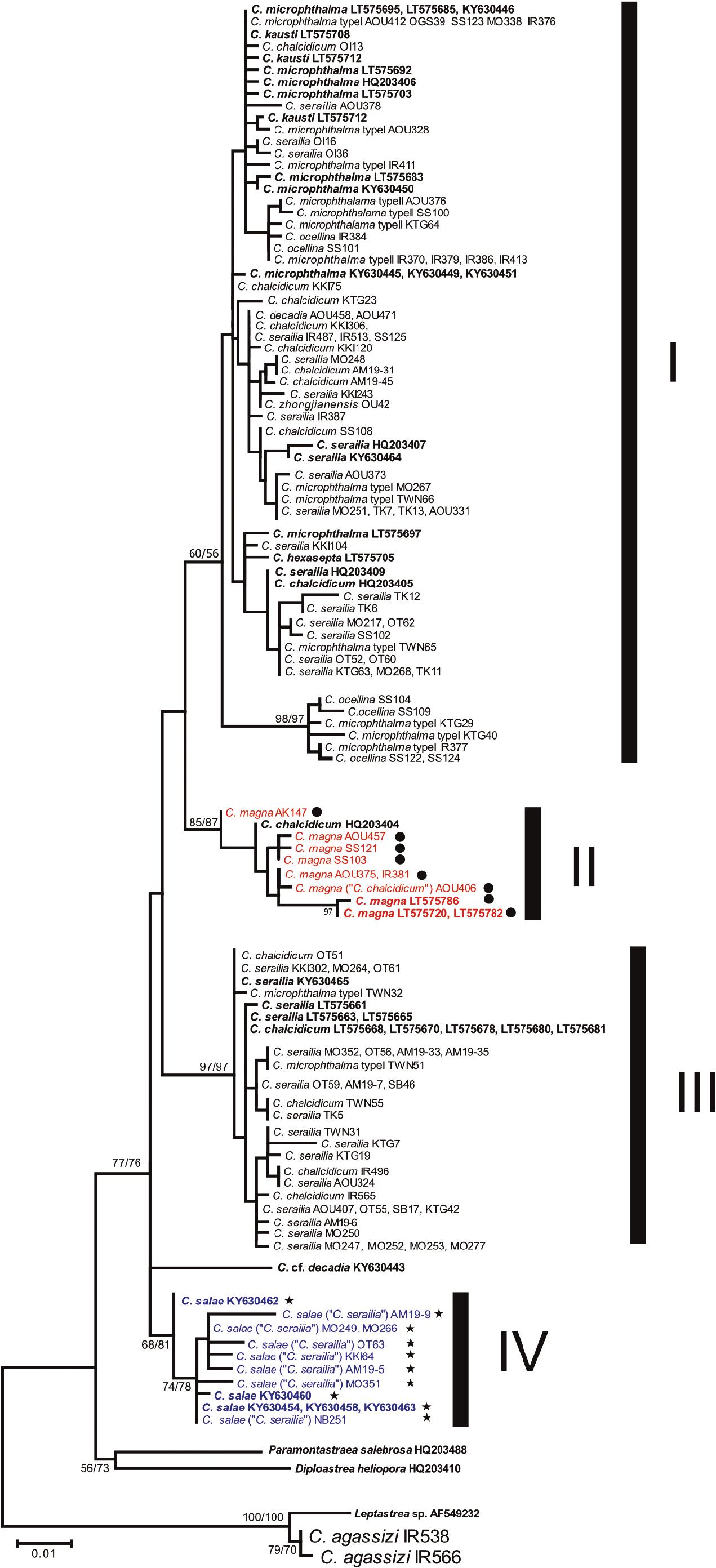Molecular Phylogeny and Taxonomy of the Coral Genus Cyphastrea ...