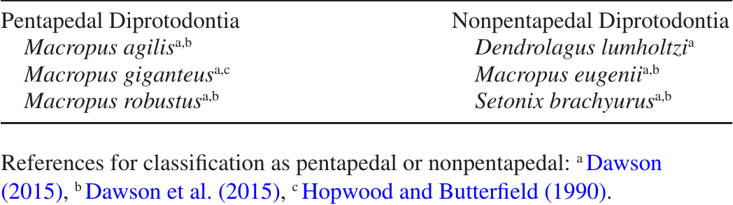 Comparative and functional morphology of chevron bones among mammals