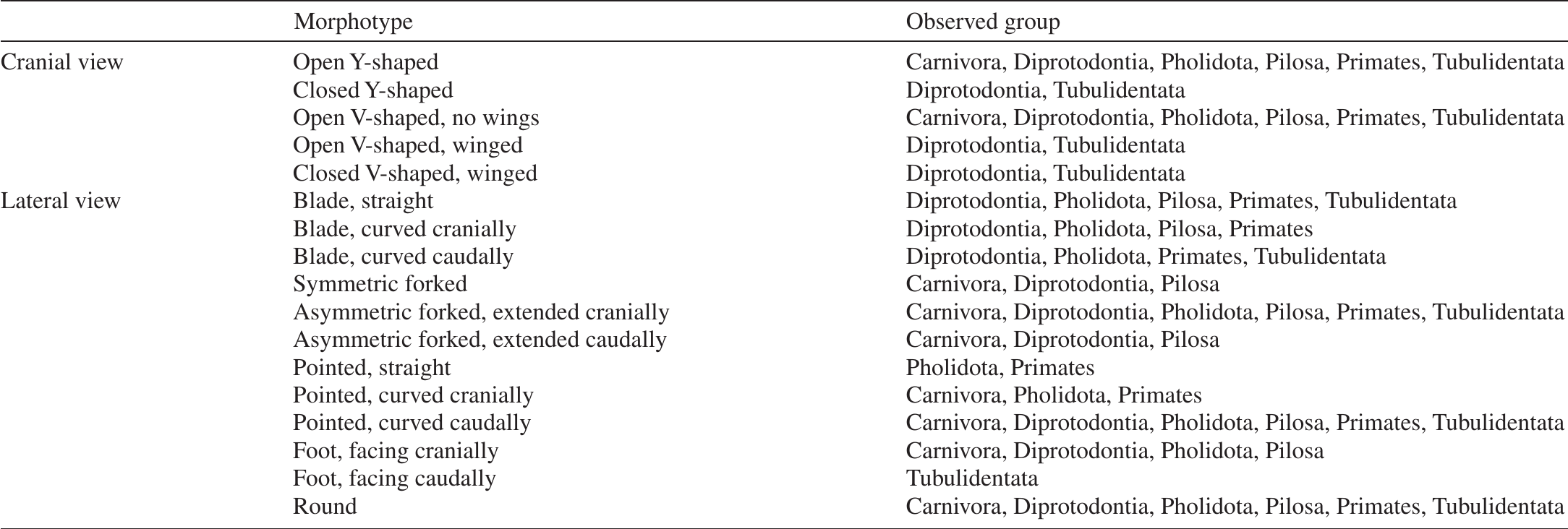Comparative and functional morphology of chevron bones among mammals
