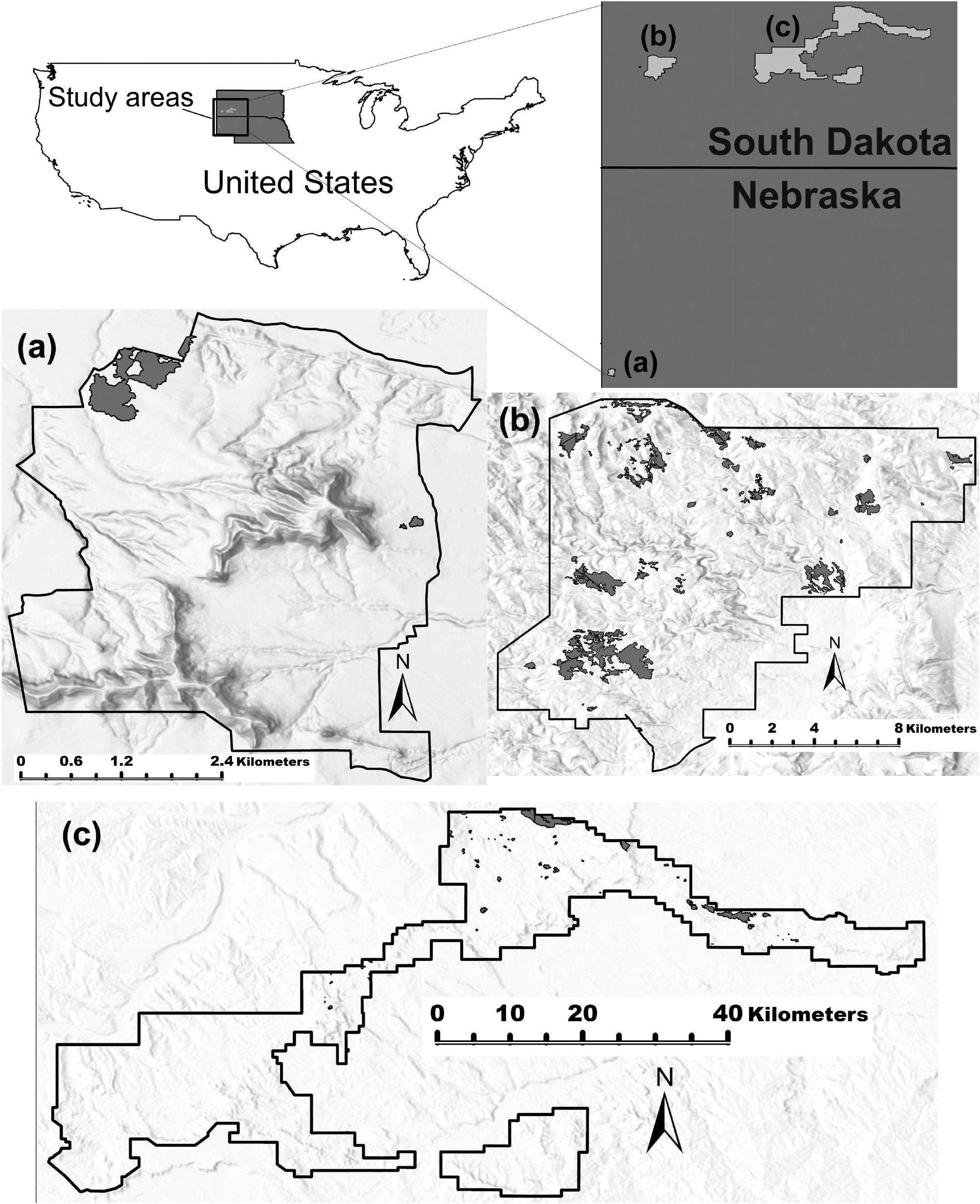 Drought-mediated changes in black-tailed prairie dog colonies in the ...