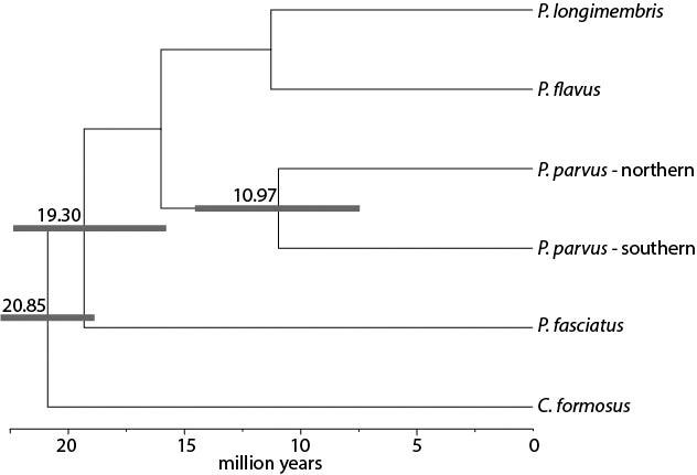 Cryptic divergence and revised species taxonomy within the Great Basin ...