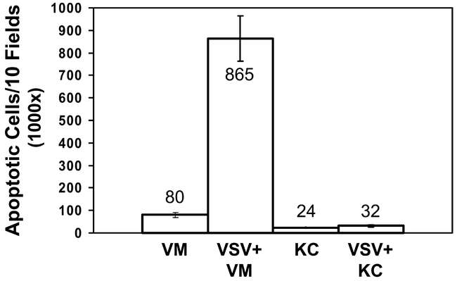 Vector Competence of Culicoides sonorensis (Diptera: Ceratopogonidae ...