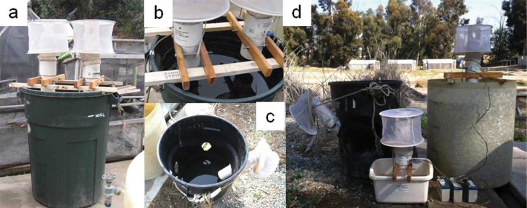 Large-Volume Gravid Traps Enhance Collection of Culex Vectors