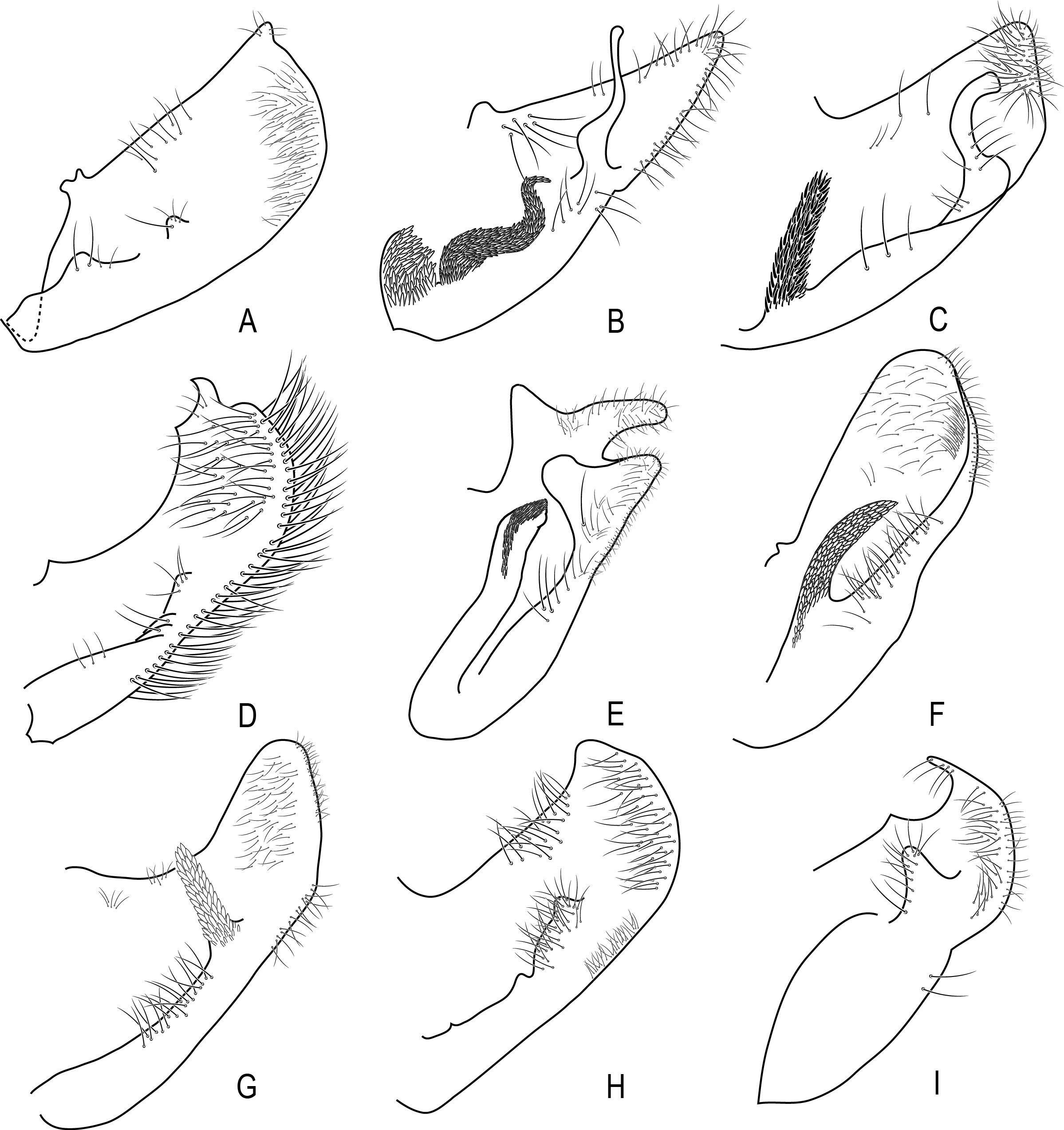 A Phylogenetic Test of Ehrlich and Raven's Theory of Escape and ...