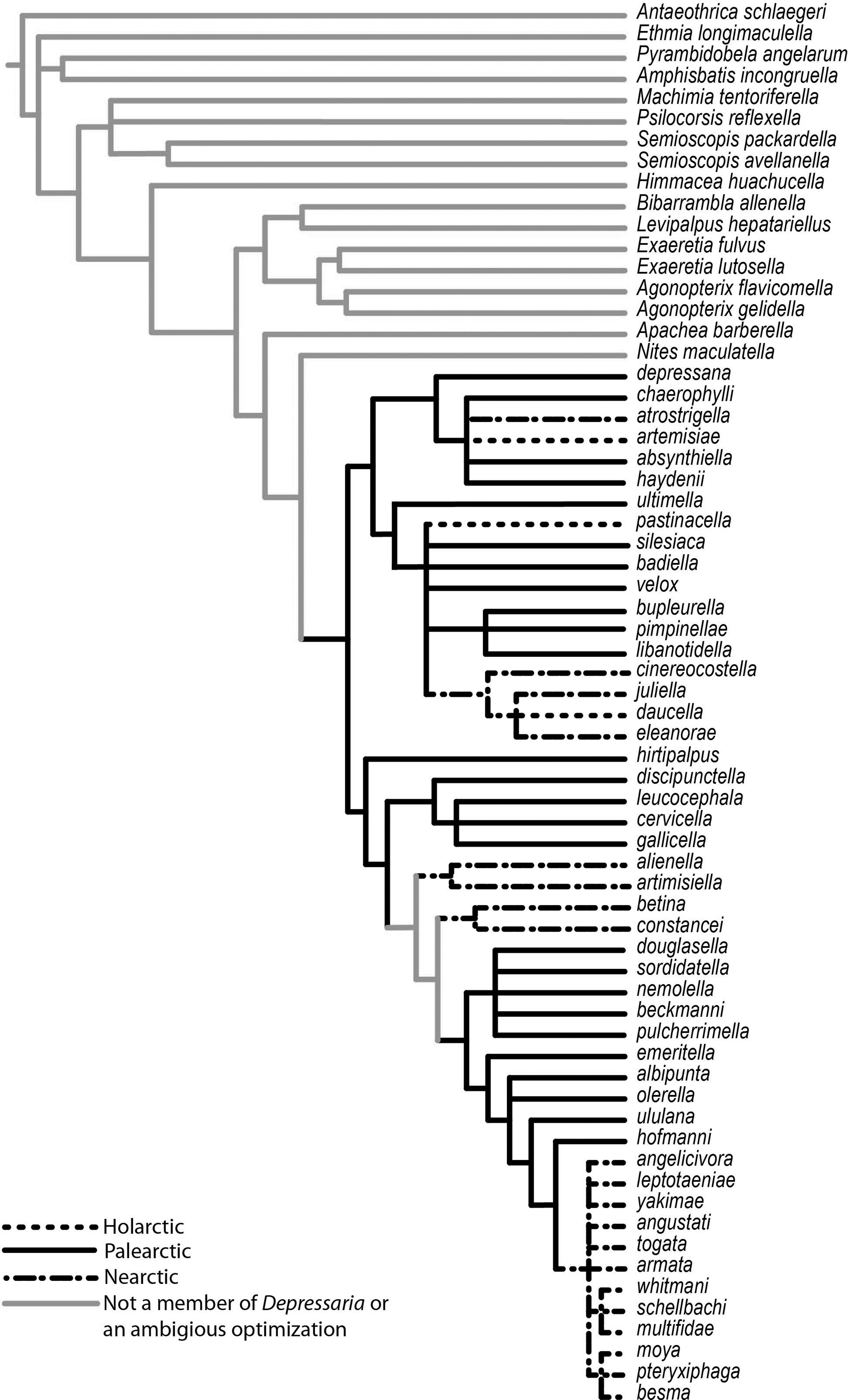 A Phylogenetic Test of Ehrlich and Raven's Theory of Escape and ...