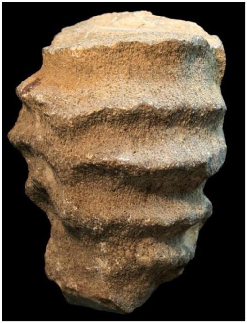 Efficient Ornamentation in Ordovician Anthaspidellid Sponges
