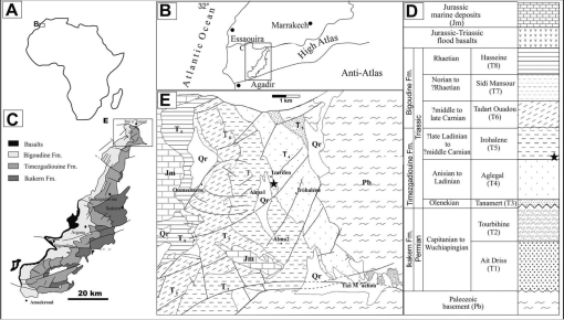 LAURUSSIAN-ASPECT OF THE COPROLITE ASSOCIATION FROM THE UPPER TRIASSIC ...