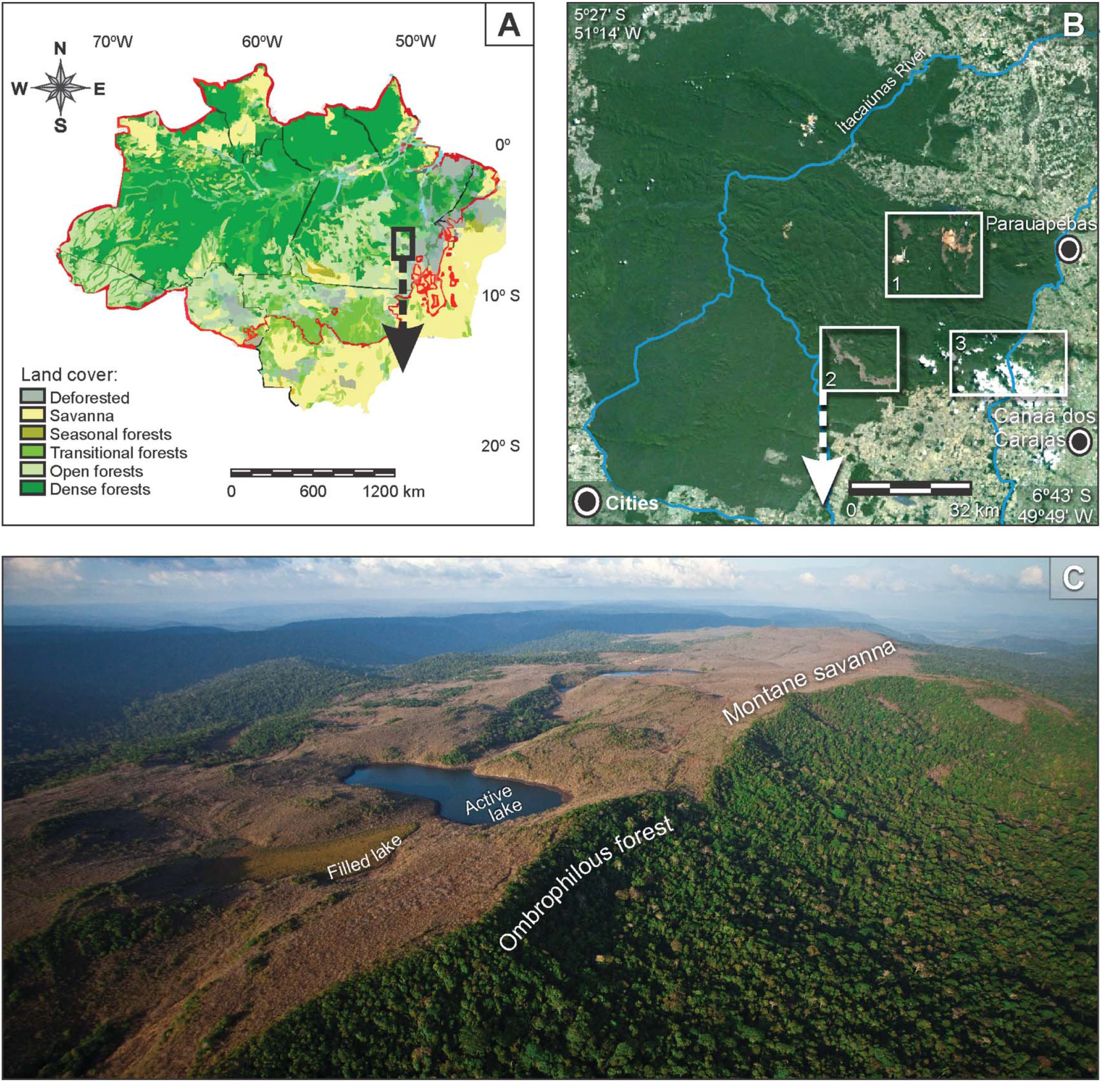 Pollen Morphology of the Poaceae: Implications of the Palynological and ...