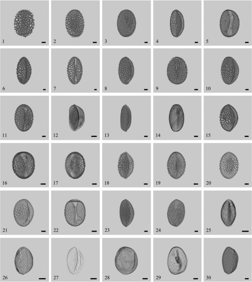 Pollen Morphology of Liliaceae and Its Systematic Significance