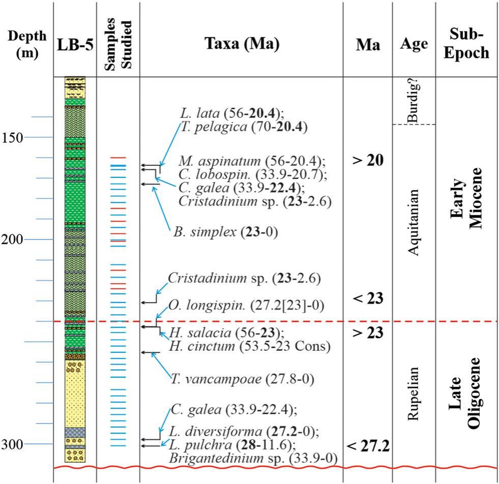 Oligocene–Miocene Dinoflagellate Cysts from the San Gregorio Formation ...