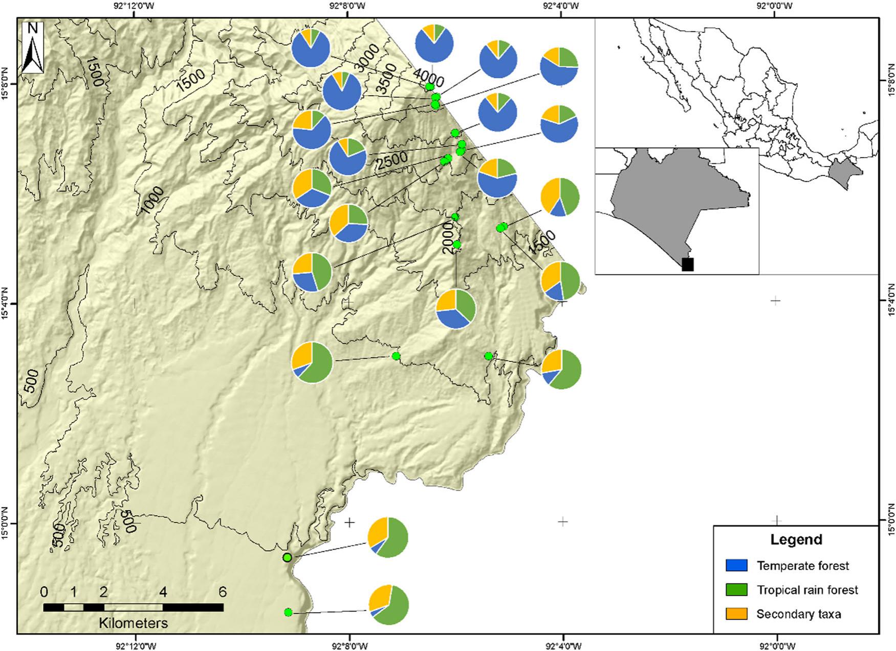 Pollen Rain, Vegetation and Connectivity in the Tacaná Volcano ...