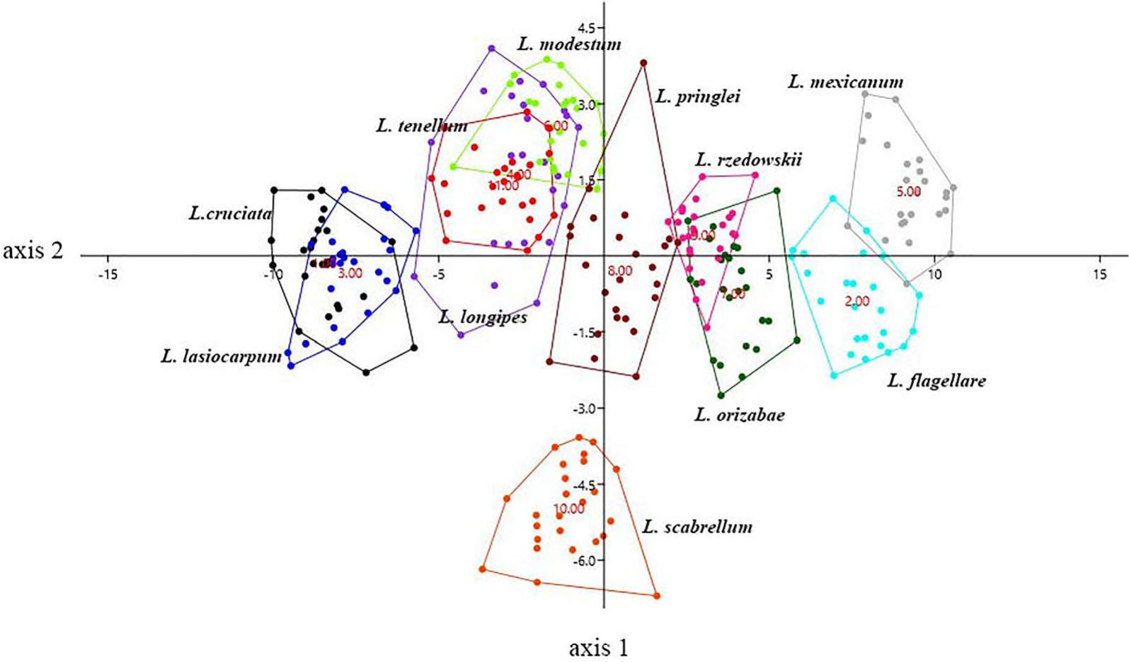 Pollen Morphology of Endemic Linum Species (Linoideae: Linaceae) from ...
