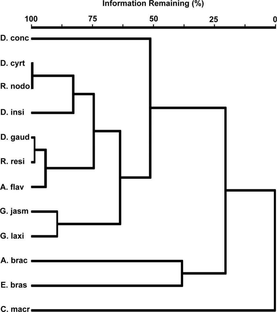 Pollen Morphology Characterization of Dryades Groppo, Kallunki & Pirani ...