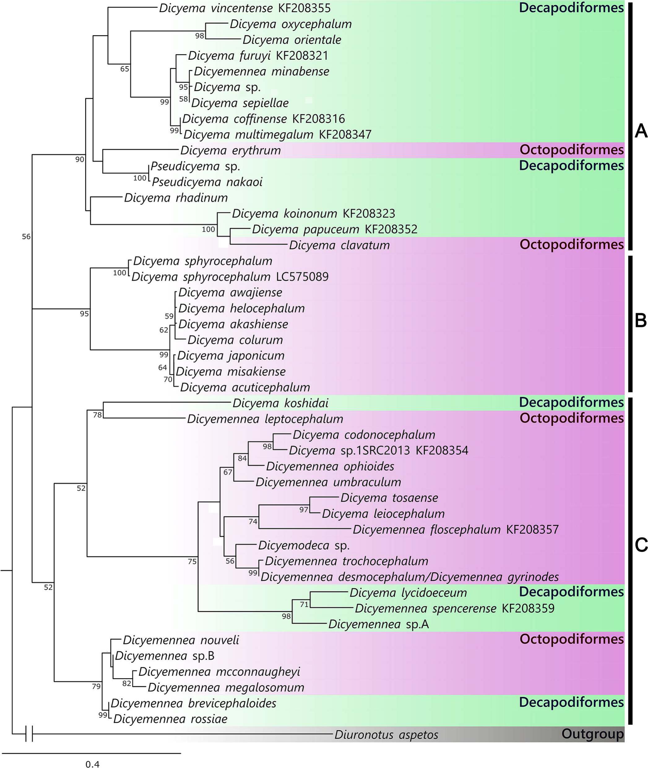 Host Switching in Dicyemids (Phylum Dicyemida)