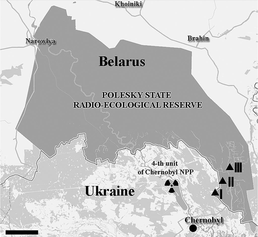 Abundance of Adult Ticks (Acari: Ixodidae) in the Chernobyl Nuclear ...
