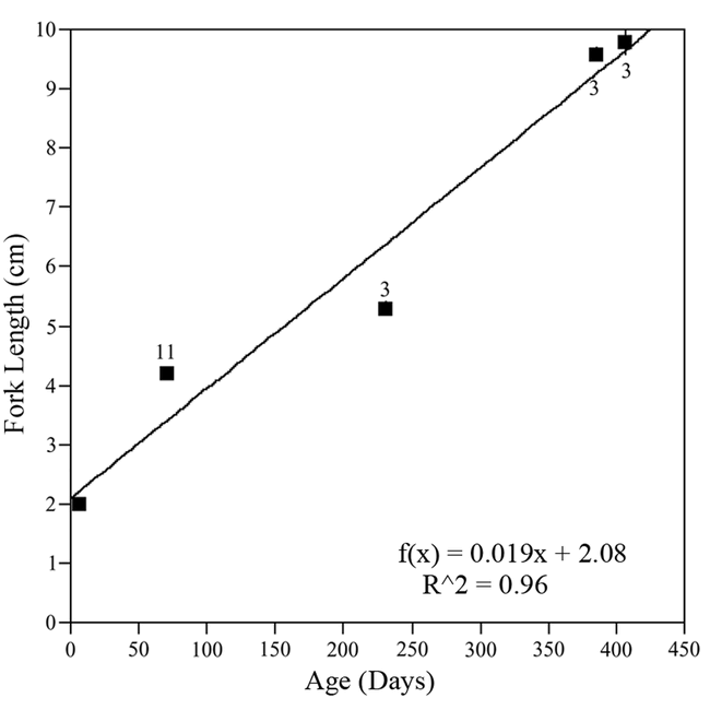 Laboratory Observations of Reproduction in the Deep-Water Zoarcids ...