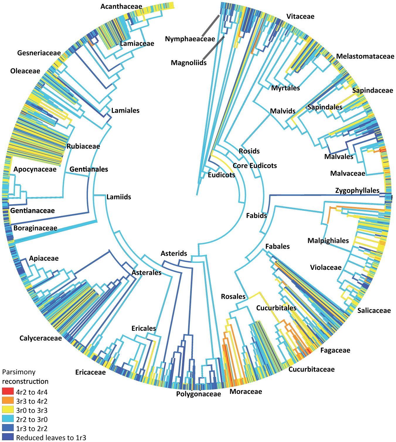 Reinvestigation of Leaf Rank, an Underappreciated Component of Leo ...