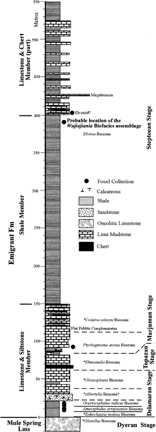 WUJIAJIANIA SUTHERLANDI FAUNA (ELVINIA BIOZONE, PAIBIAN STAGE ...