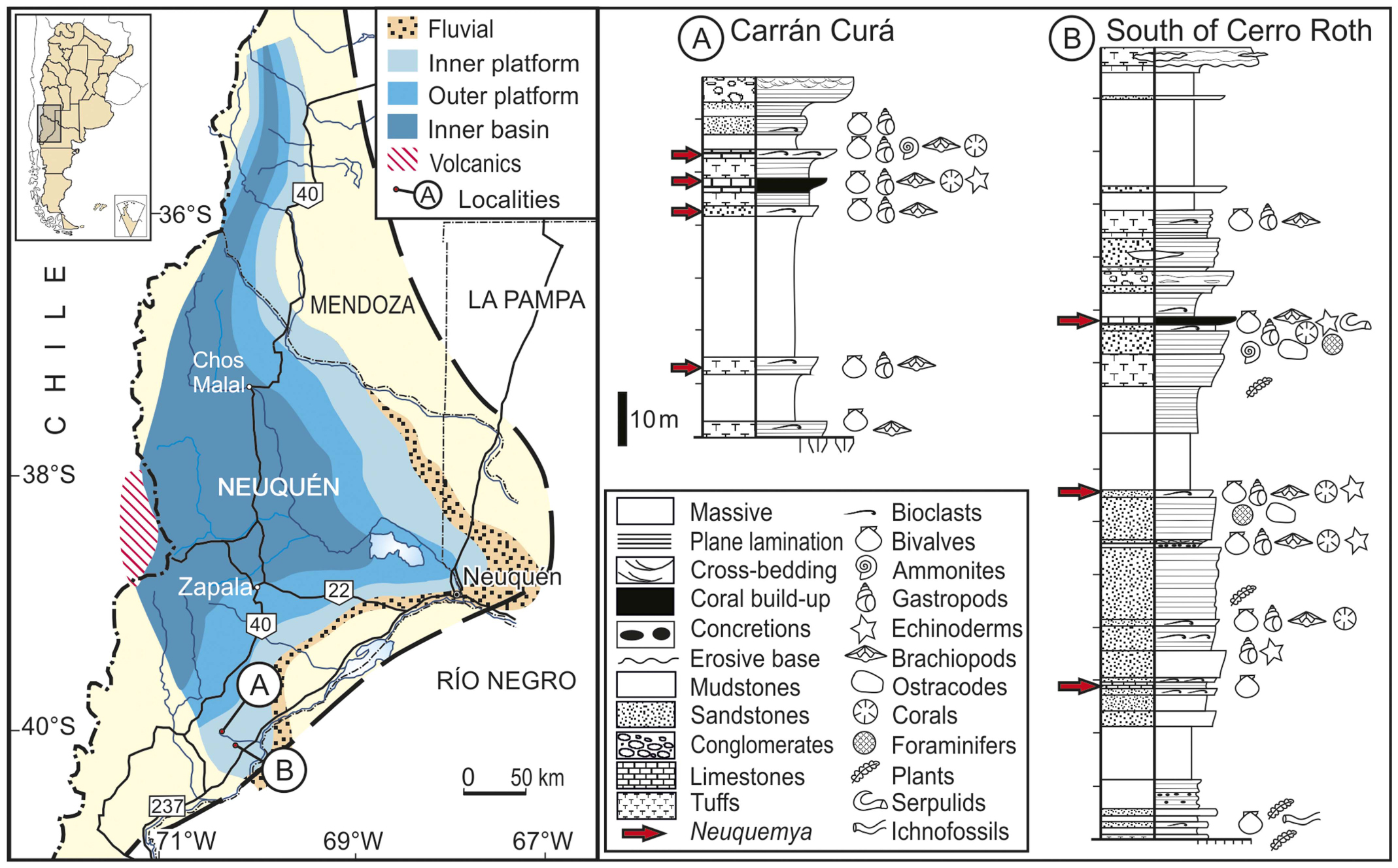 New bivalve genus from the Early Jurassic of Neuquén Basin, Argentina ...
