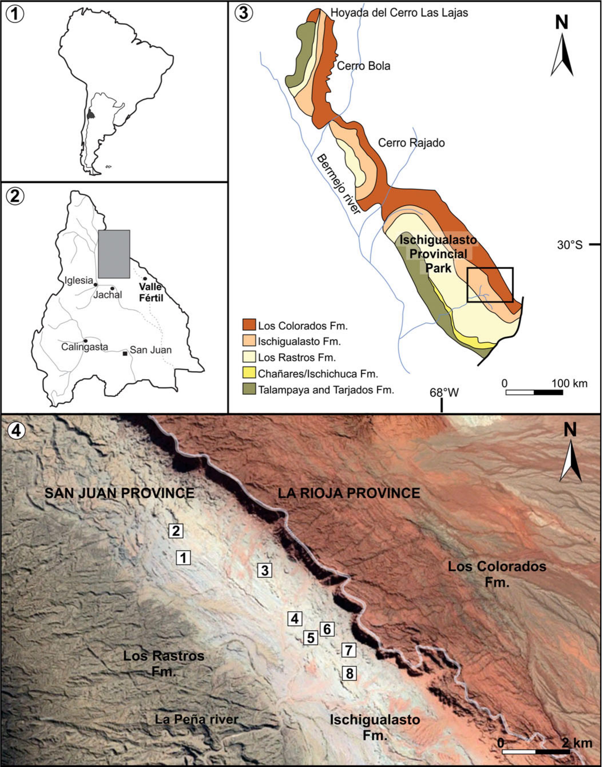 Araucariaceous fossil woods from the Upper Triassic Ischigualasto ...