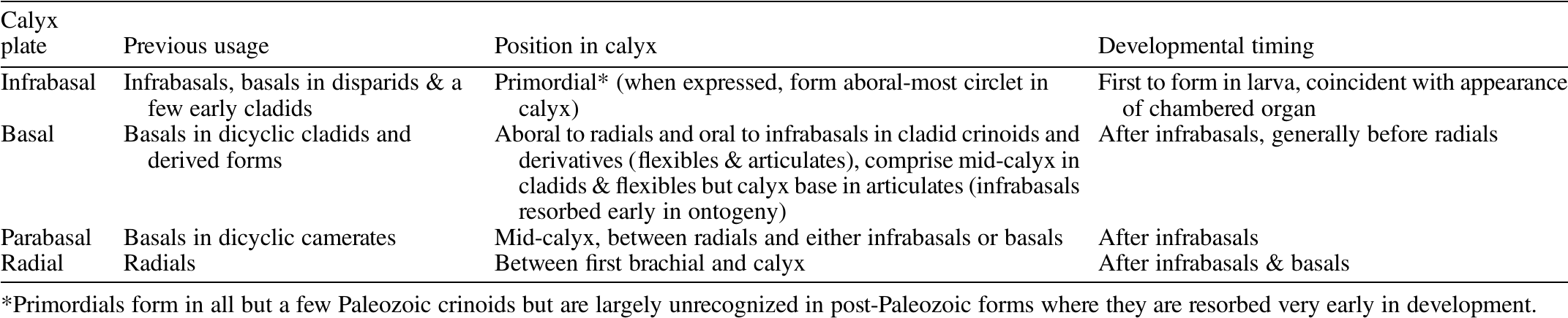 Crinoid calyx origin from stem radial echinoderms