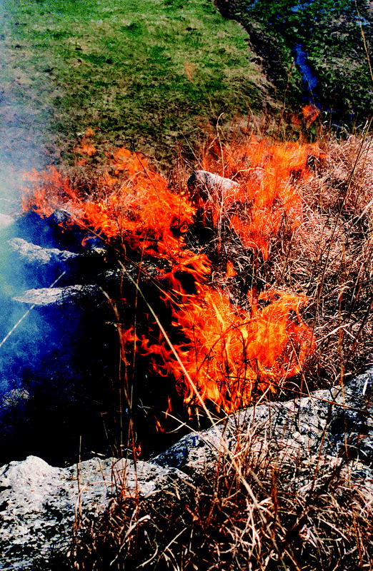 Fuel Loading, Fuel Moisture Are Important Components of Prescribed Fire