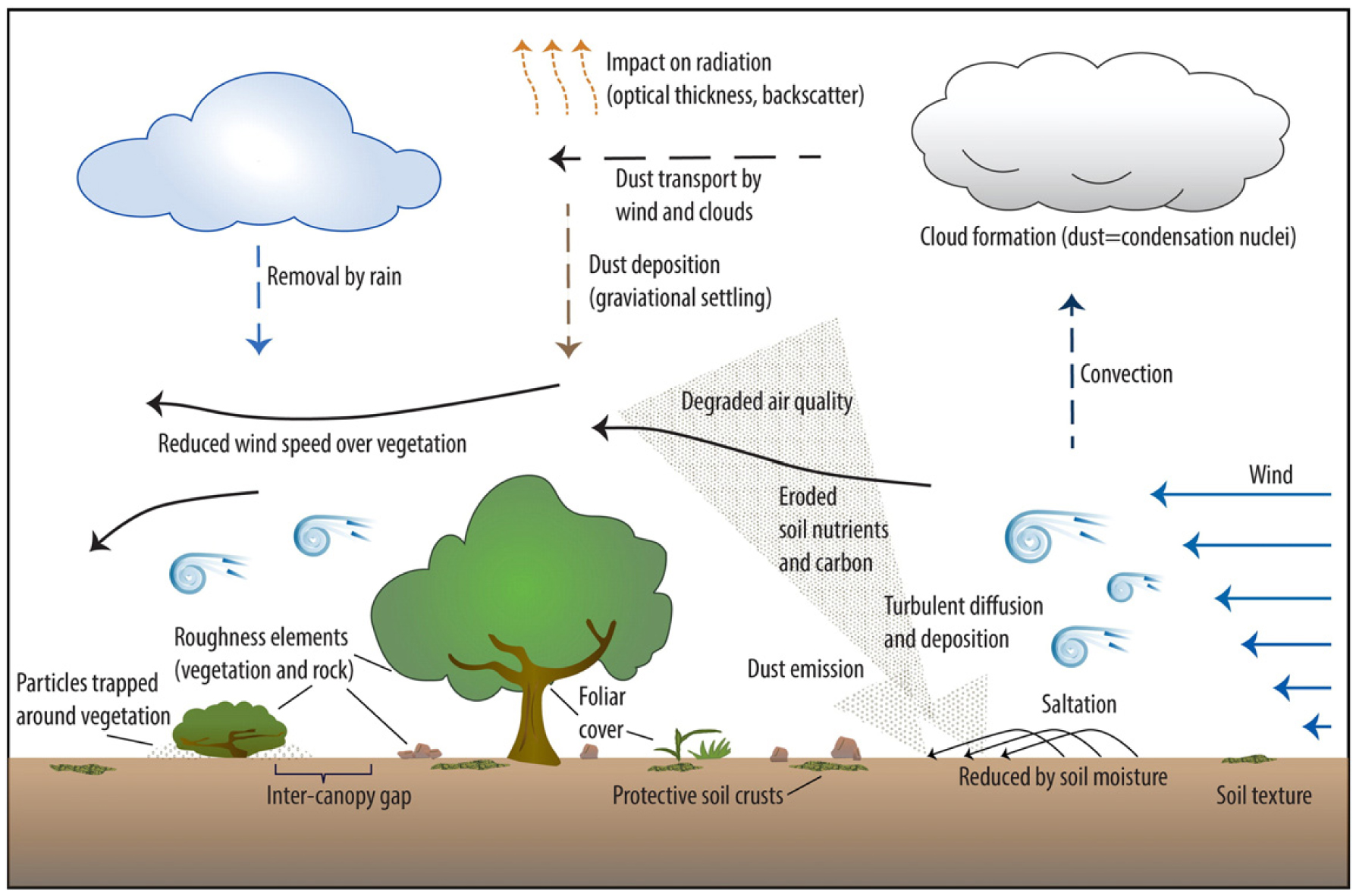 Enhancing Wind Erosion Monitoring and Assessment for U.S. Rangelands