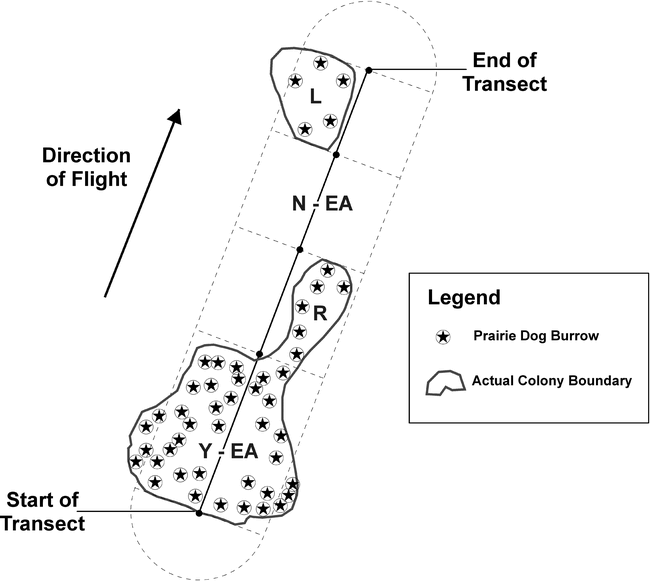 Utilizing Remote Sensing and GIS to Detect Prairie Dog Colonies