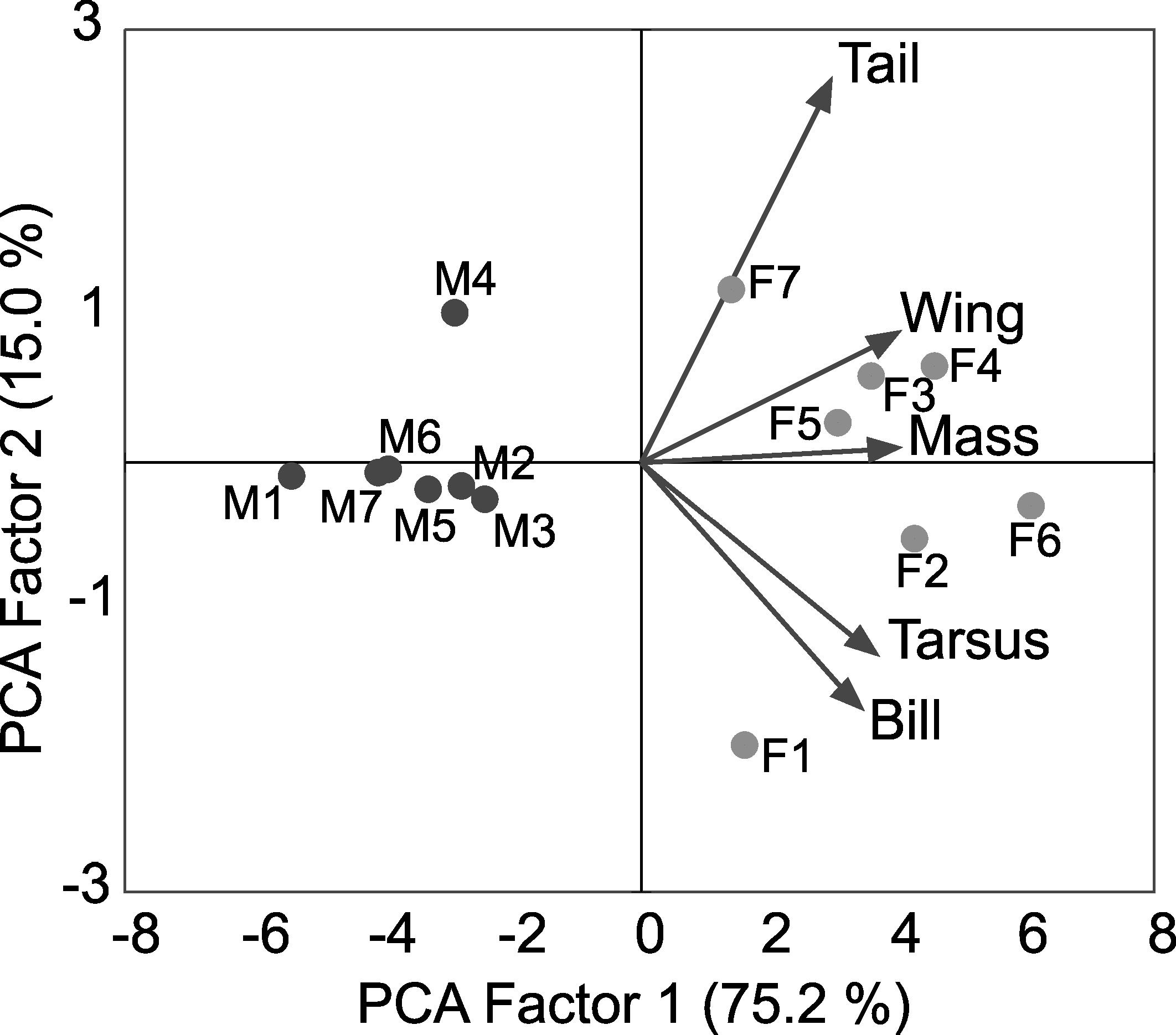 Reversed Sexual Dimorphism and Differential Prey Delivery in Barn Owls ...