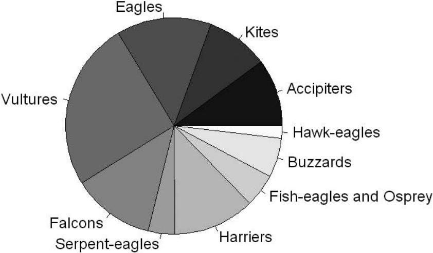 Raptor Research in India: Inadequate Data and Species' Status ...