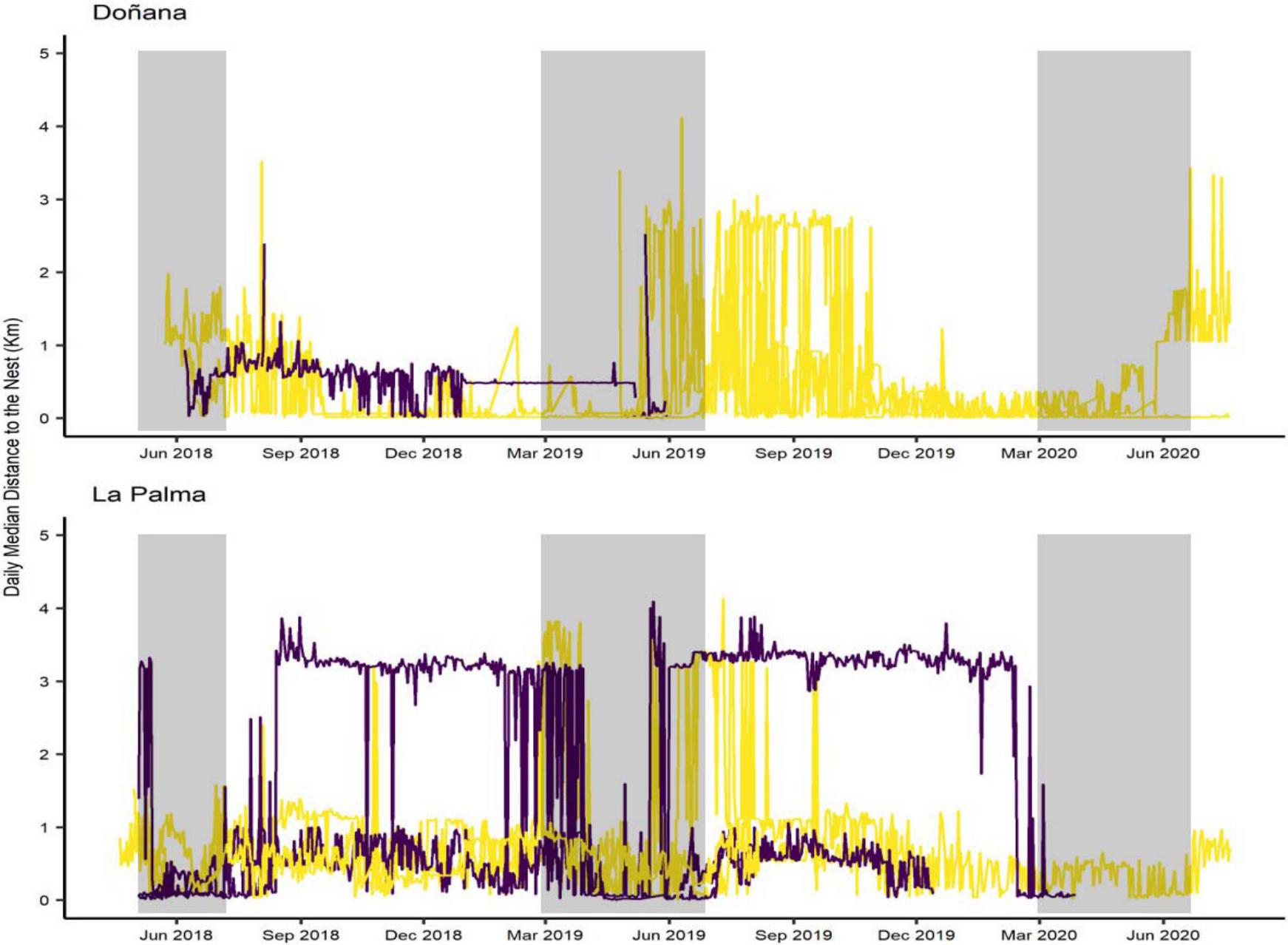 Long-Range Movements of Common Kestrels (Falco tinnunculus) in ...