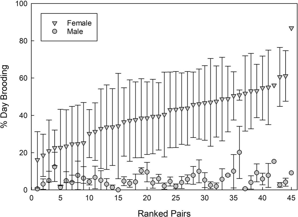 Parental Roles of Nesting Prairie Falcons in Relation to Reversed ...