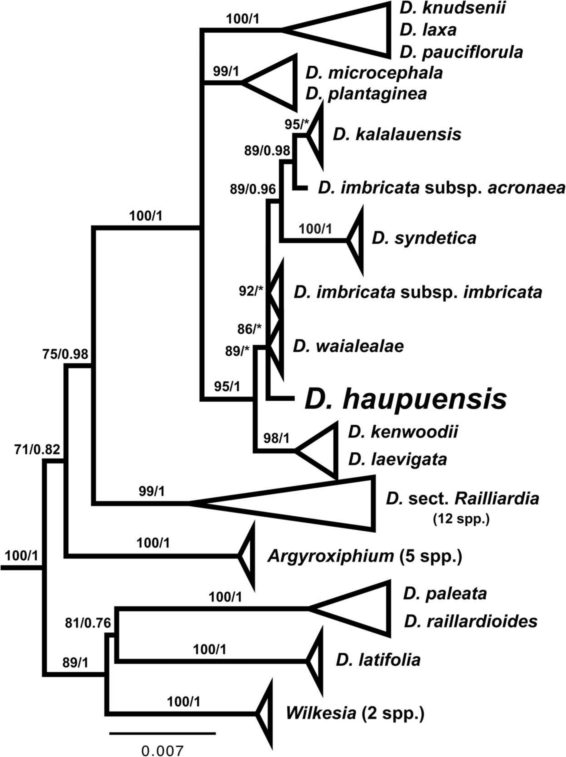 Dubautia haupuensis, a New Species of the Hawaiian Silversword Alliance ...