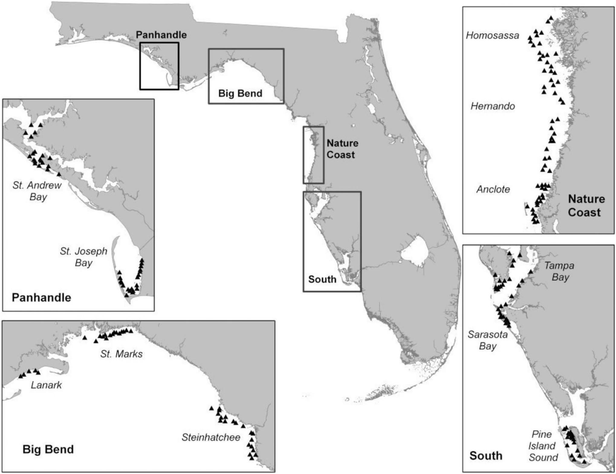 Densities of Large Marine Gastropods in Seagrass, Oyster Reef, and ...