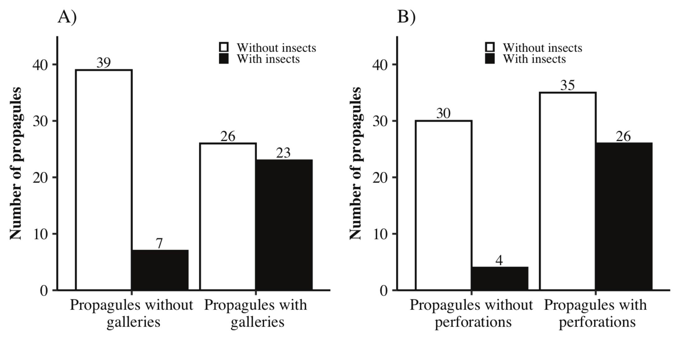 Characteristics of Insect Damage in Propagules of Red Mangrove ...